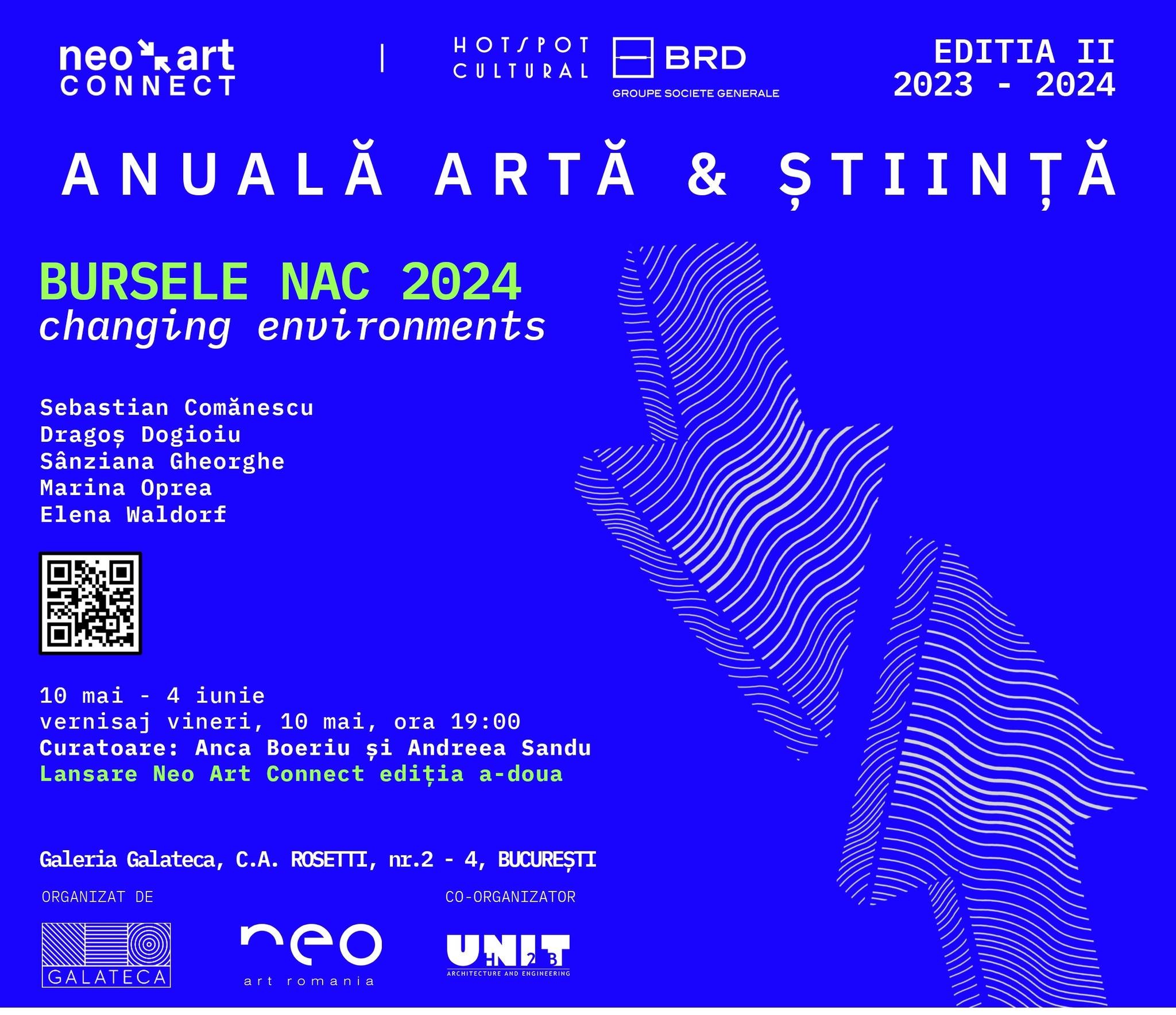 Changing Environments. NAC Grants Exhibition at Galateca - Empower Art ...